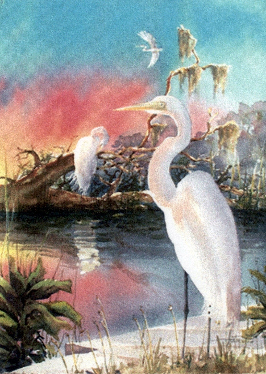 Phil Hilton's Watercolors, commisions